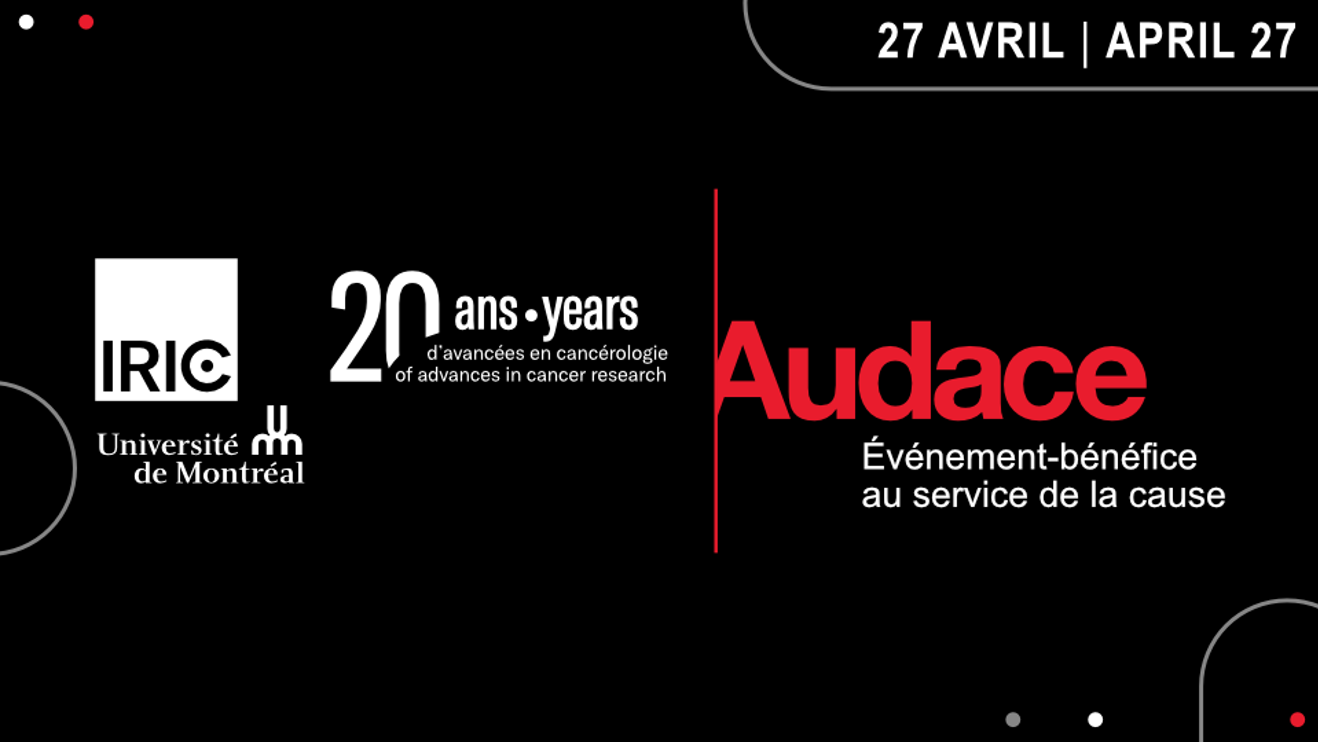 Audace 2023: a special 20th anniversary edition
