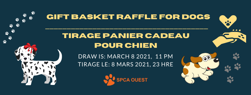 DOG Basket Raffle