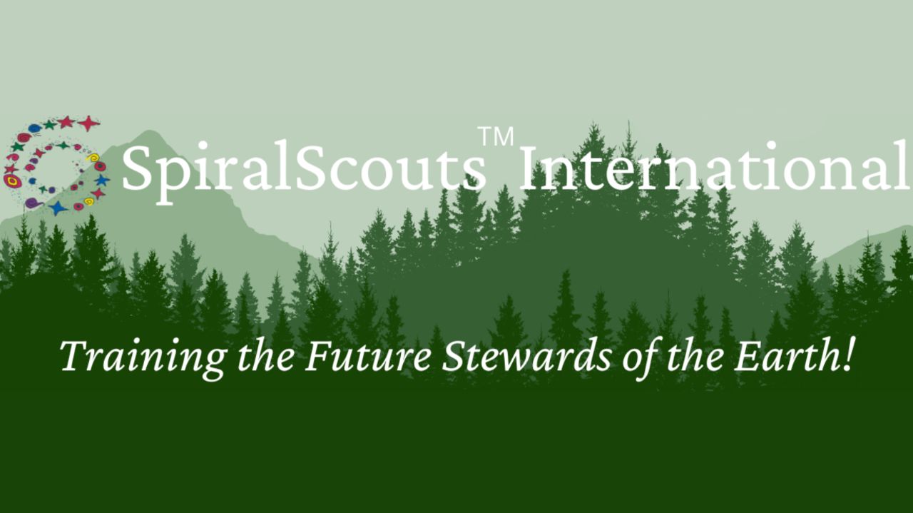2025 SpiralScouts International Donation Form