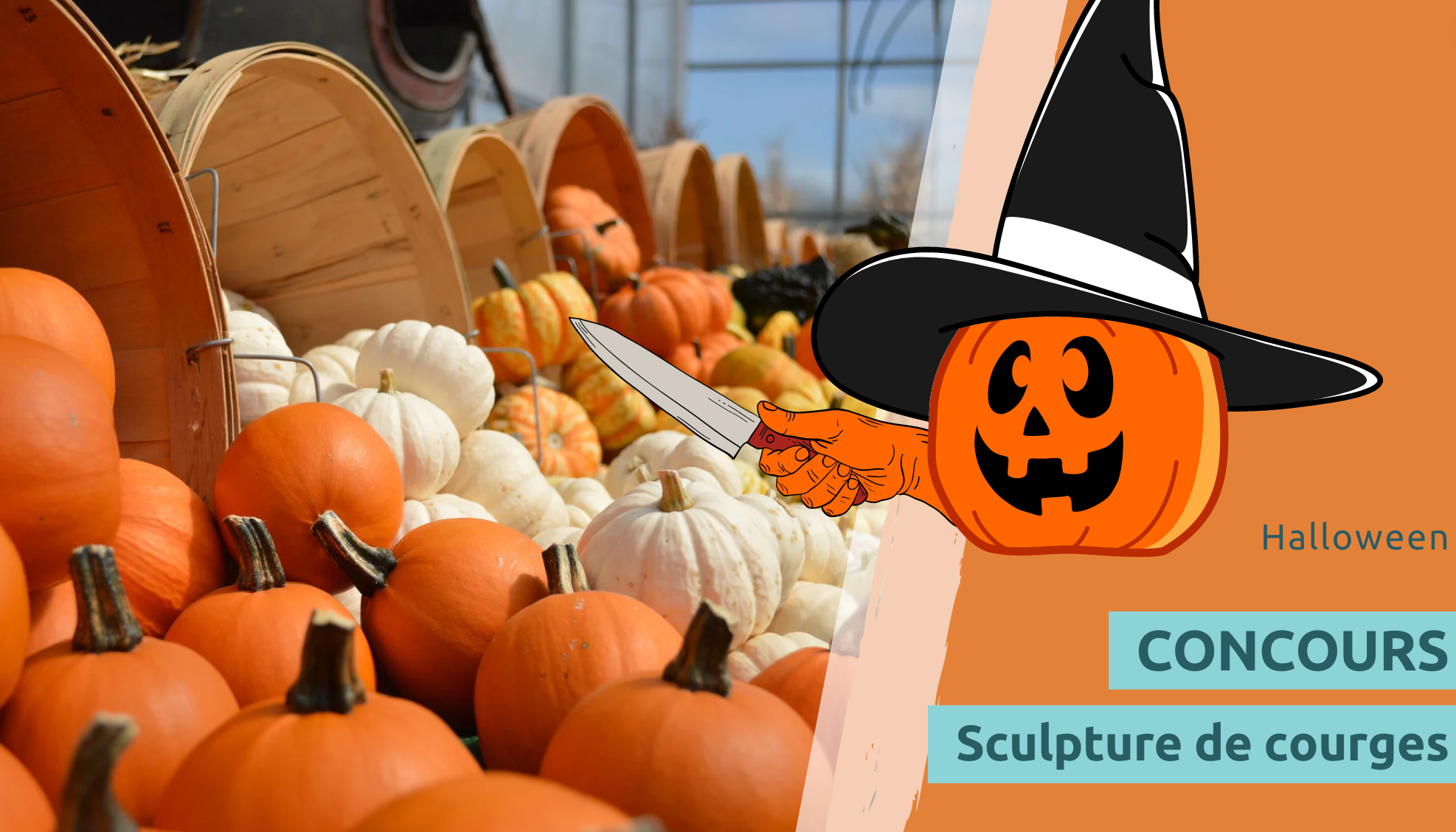 Concours de Sculpture de courges en famille