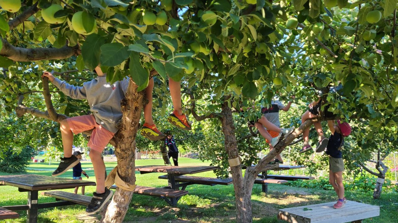 Next Stop... The Clubhouse Farm!