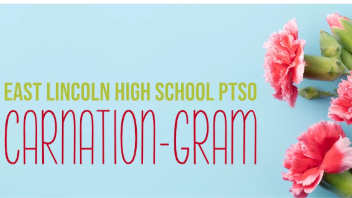 Valentines Carnation-Gram