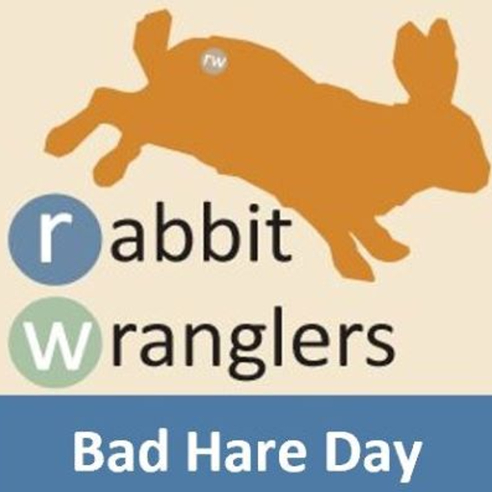 Bad Hare Day