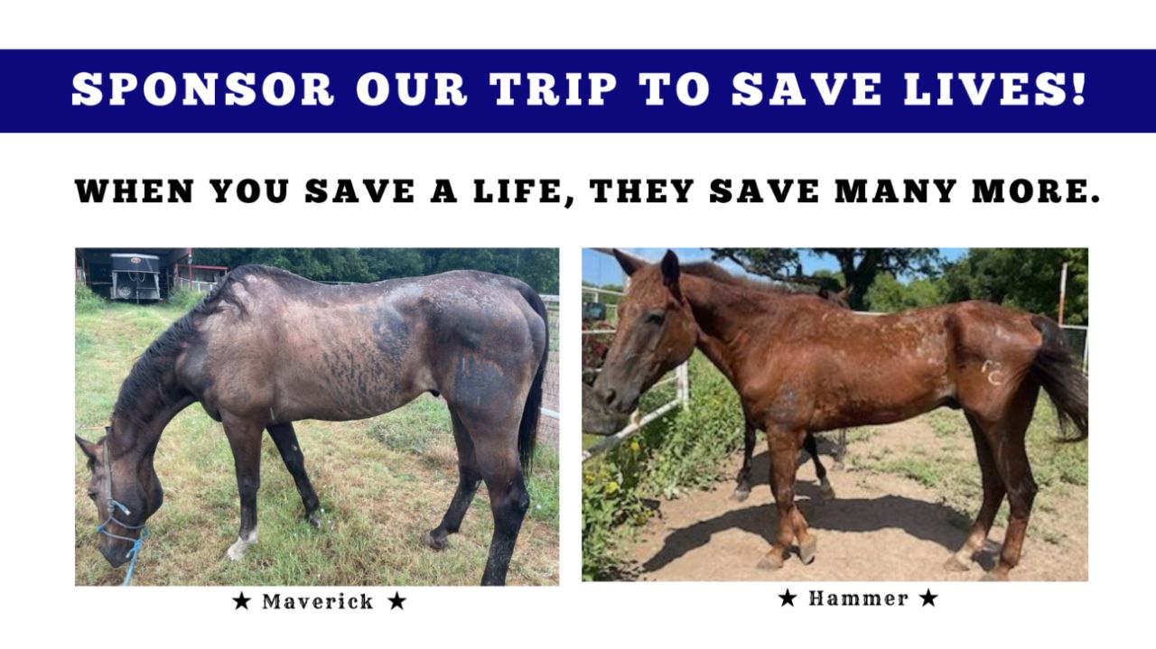 Help Carrying Heroes Save Lives!