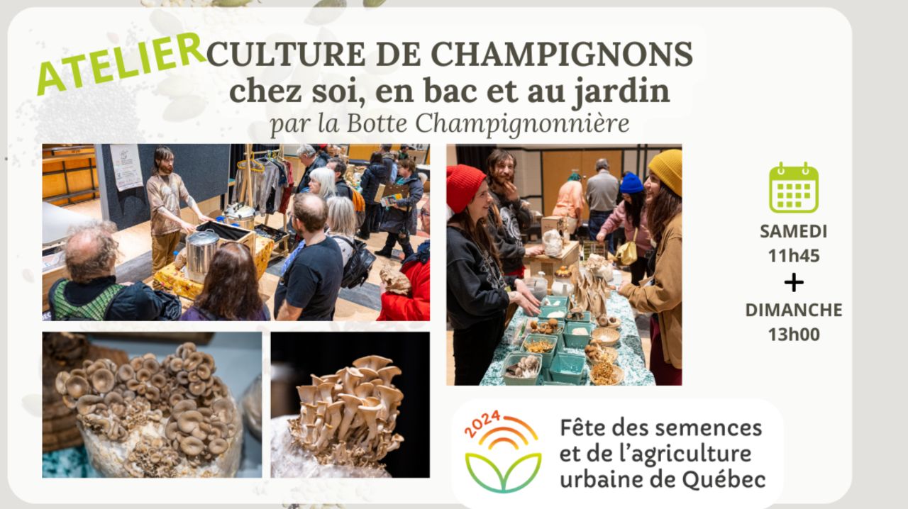 Atelier Culture de champignons chez soi, en bac ou au jardin par la Botte
