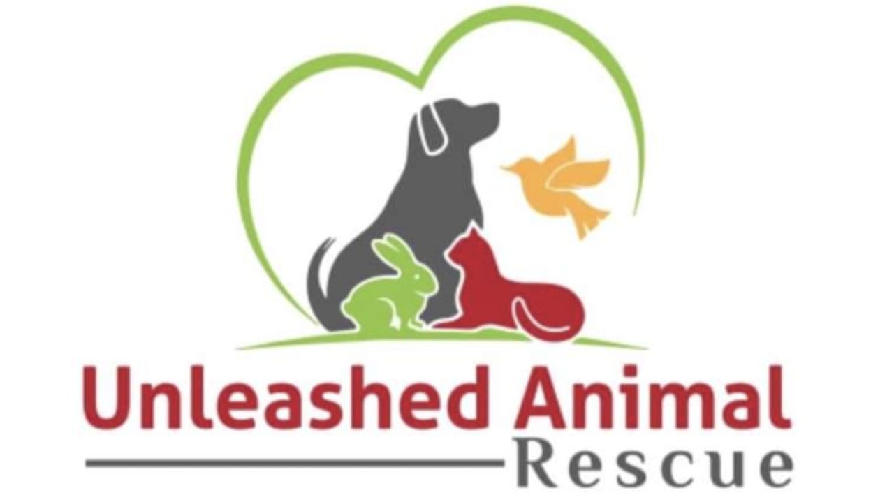 Unleashed Animal Rescue Fall Fundraiser