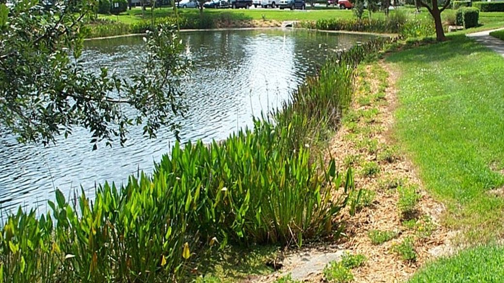 Virtual 2024 Lakes & Ponds Education Day