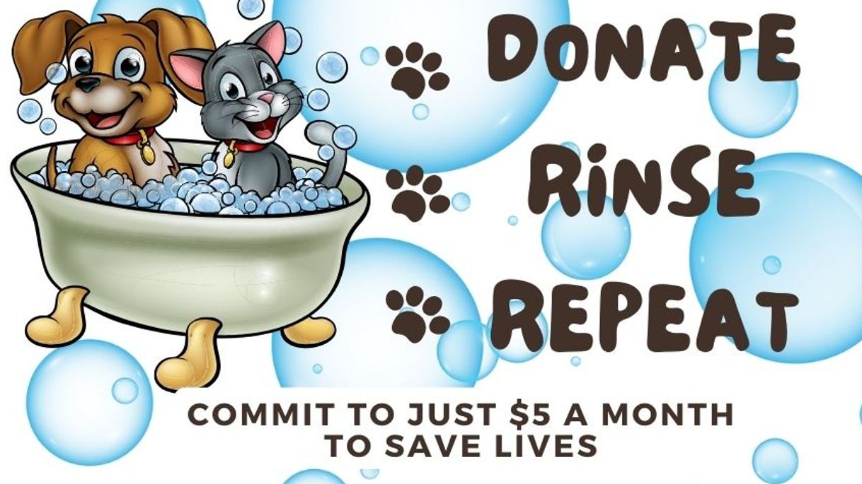 Donate, Rinse, Repeat