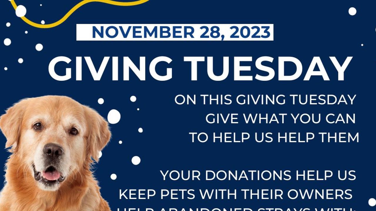 TTR's Giving Tuesday Campaign