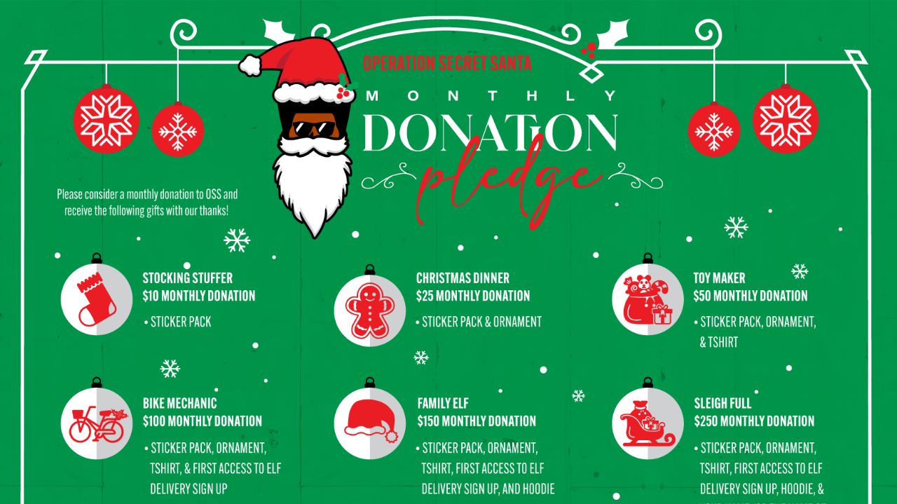 12 Months of Christmas Monthly Pledge - $100 and above