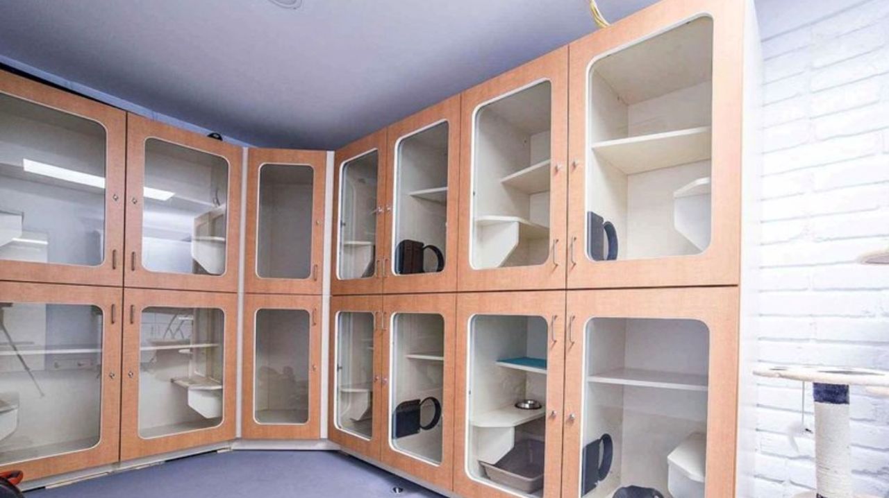 Get Shebas Home an enclosure for sick and quarantine cats!!