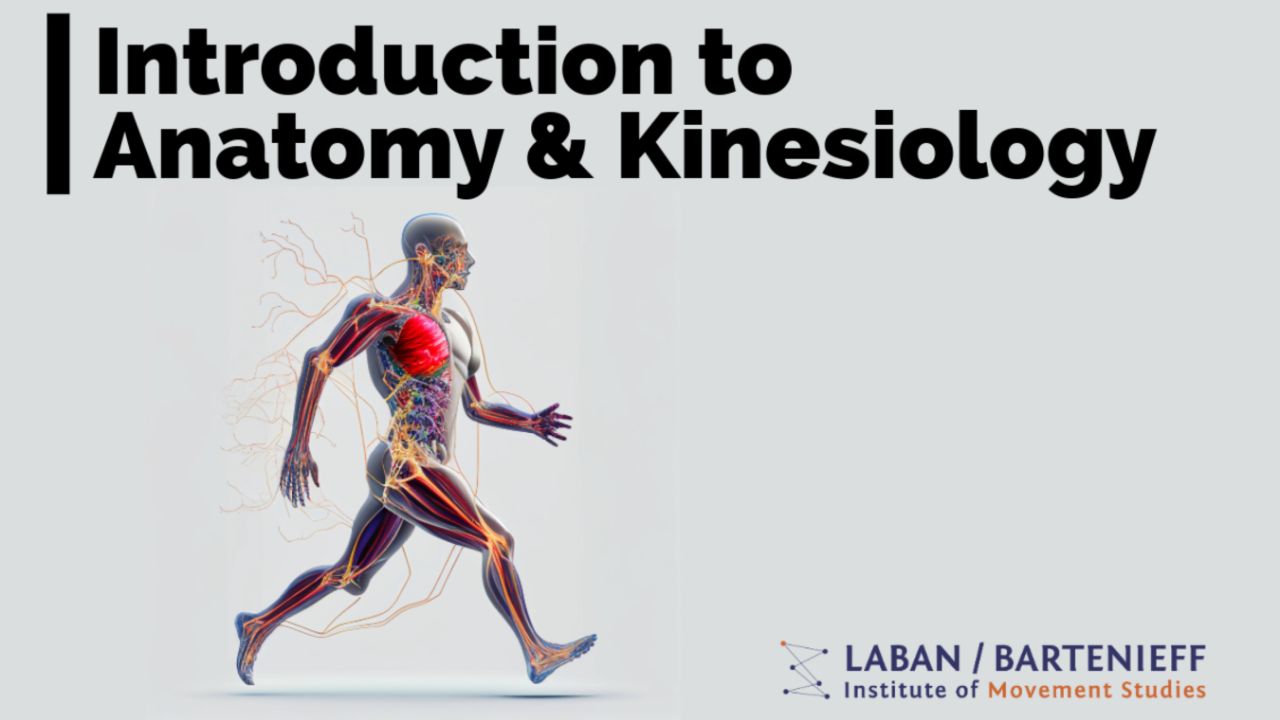 Introduction to Anatomy & Kinesiology